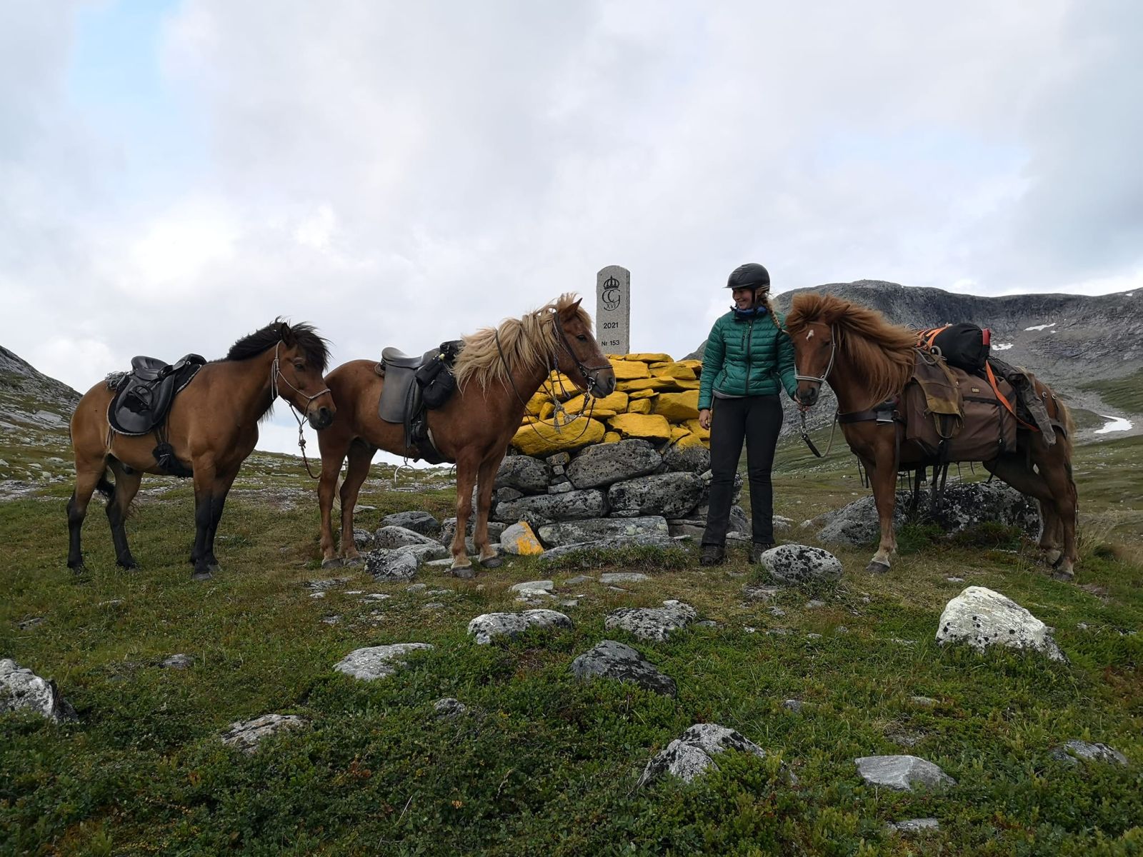 Signe (23) red Norge på tvers med tre islandshester: – Jeg håper folk ...