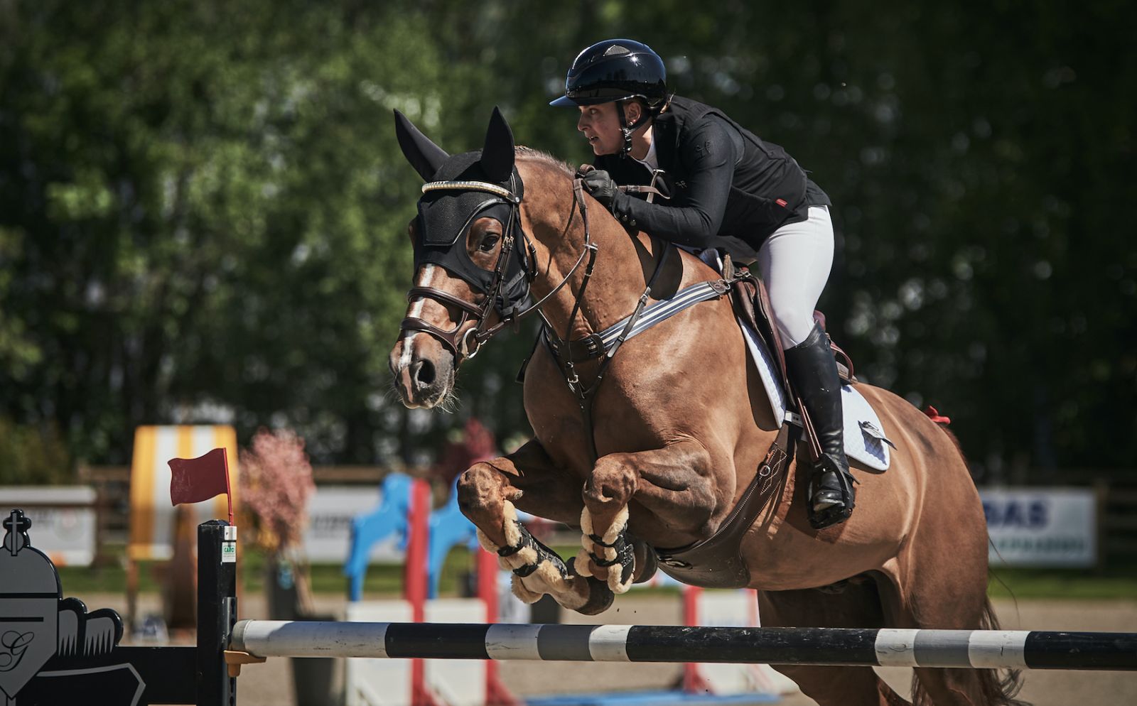 Vi trenger gode, norskregistrerte hester til å representere Norge i sporten