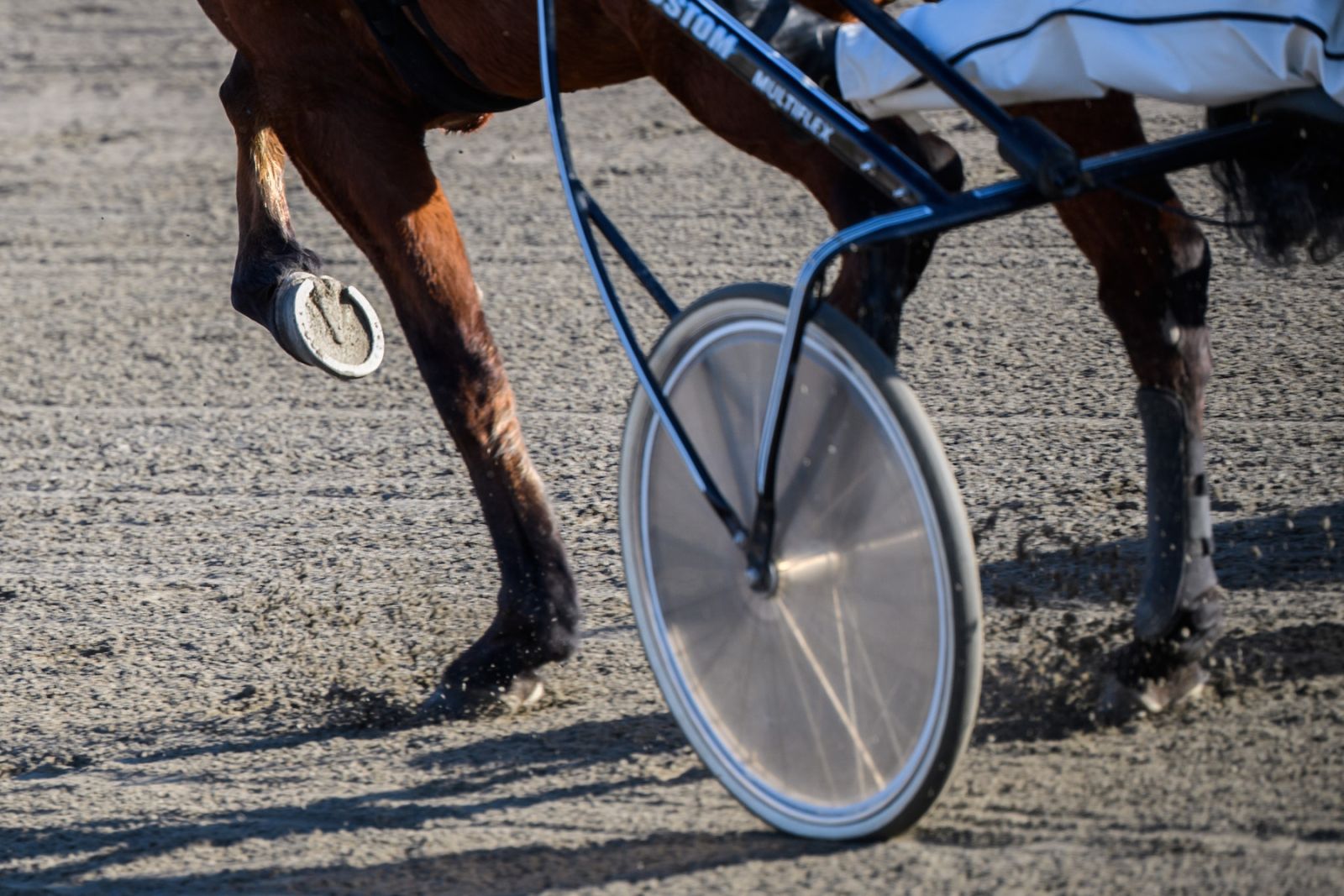 Nytt kursopplegg innen omskolering av travhester for instruktører
