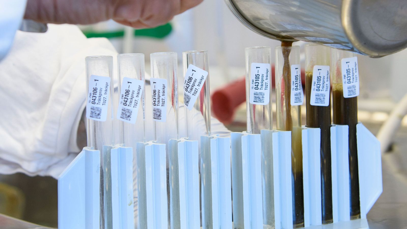 Spolorm har utviklet resistens mot alle tilgjengelige ormekurer for hest