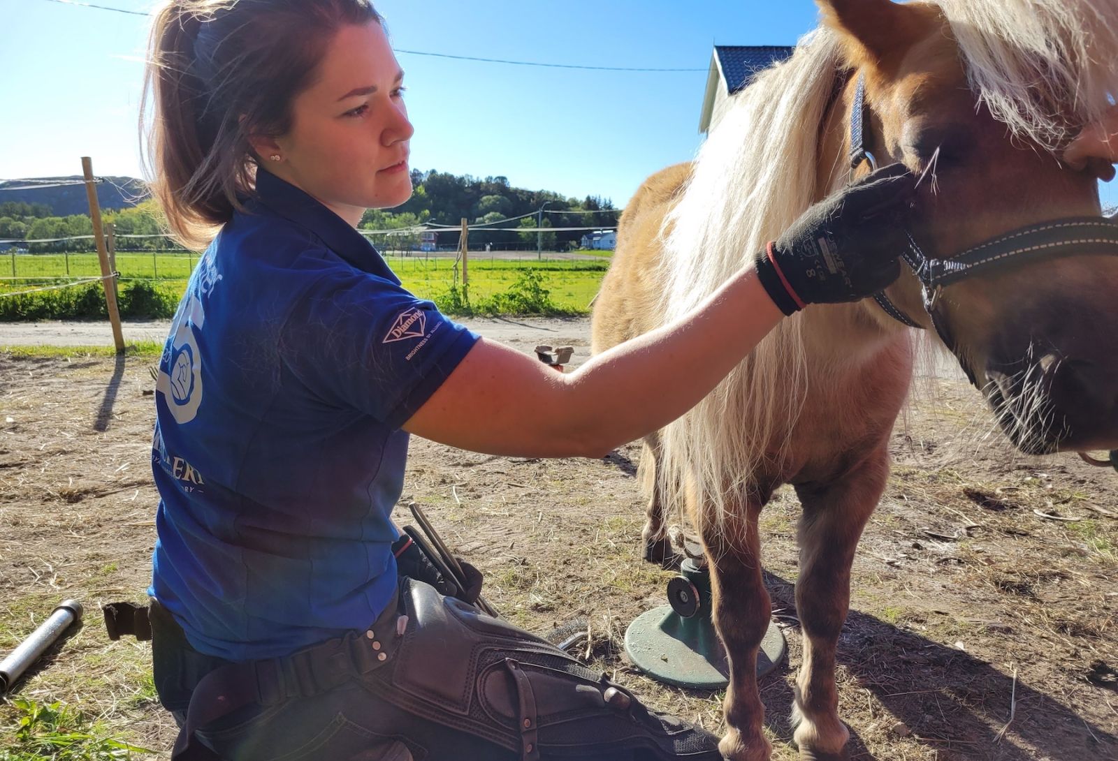 Ti år på veien – Nina holder hestene skodd i Nordland