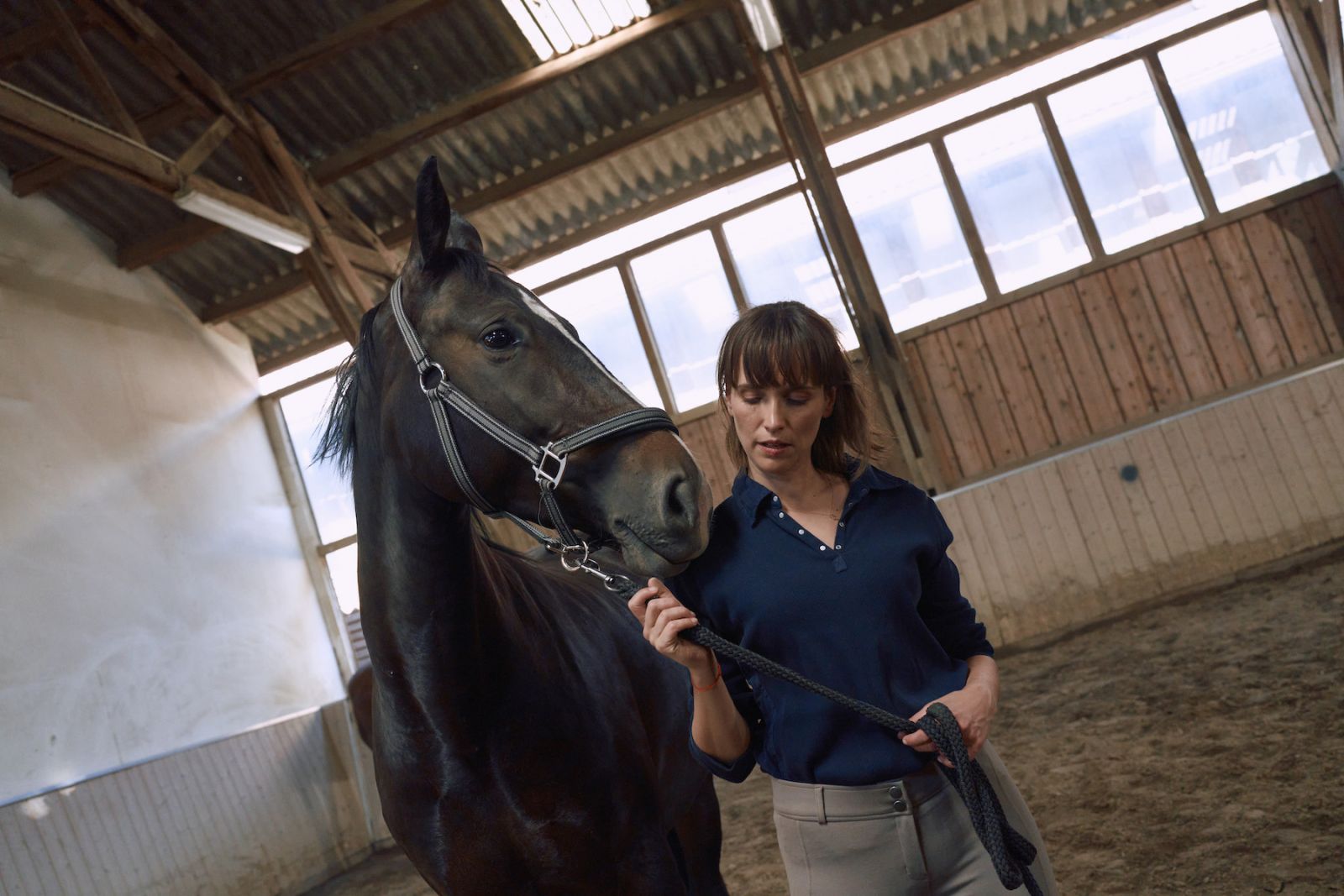 Ny undersøkelse: Veterinæryrket er mer krevende enn dyreeiere tror